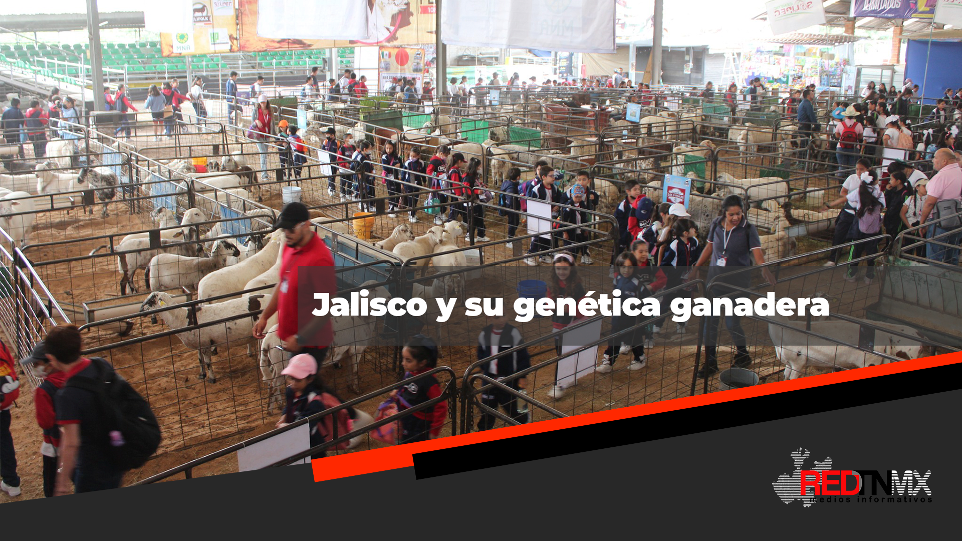 Jalisco, lider nacional en genética animal: UGRJ | REDTNJalisco