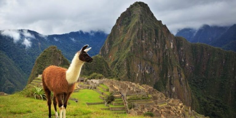 La Riqueza De La Cultura Latinoamericana: Diversidad, Historia Y ...